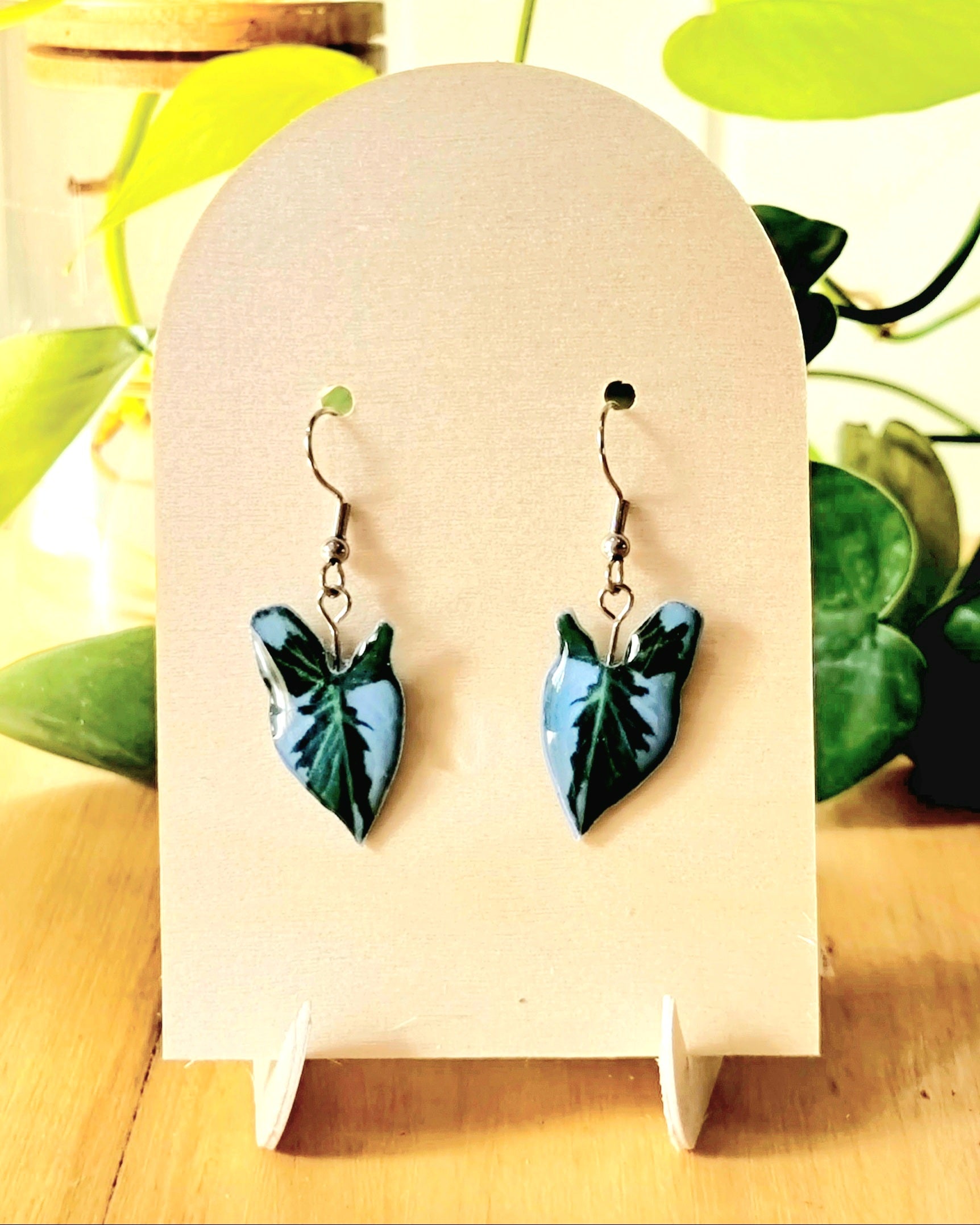 Syngonium Jade Magic Leaf Earrings – Leaf Jars